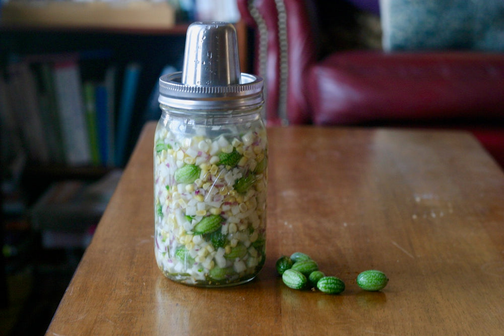 Fermented Mexican Gherkins Deluxe - Kraut Source